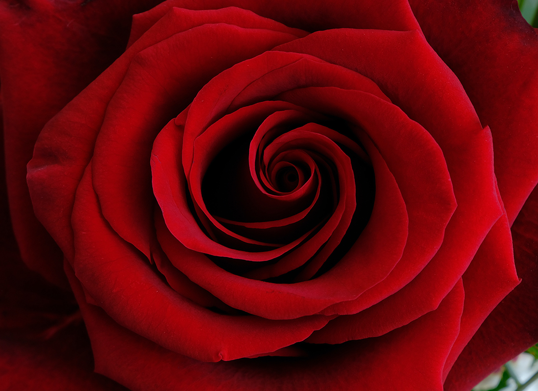 Cecilia Caragea. Consultant comunicare ARENA Communications. Realizator ...